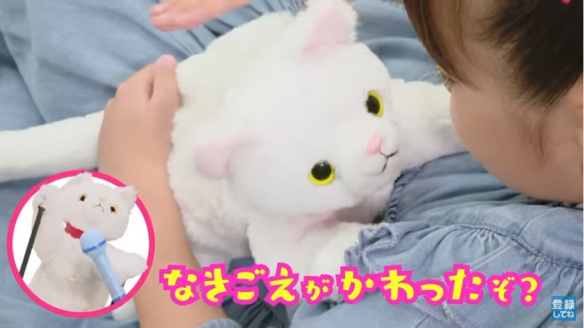 ねこ、産んじゃった!」プロモ動画にモザイク「狂気じみてる ねこ、産んじゃった!」プロモ動画にモザイク「狂気じみてる