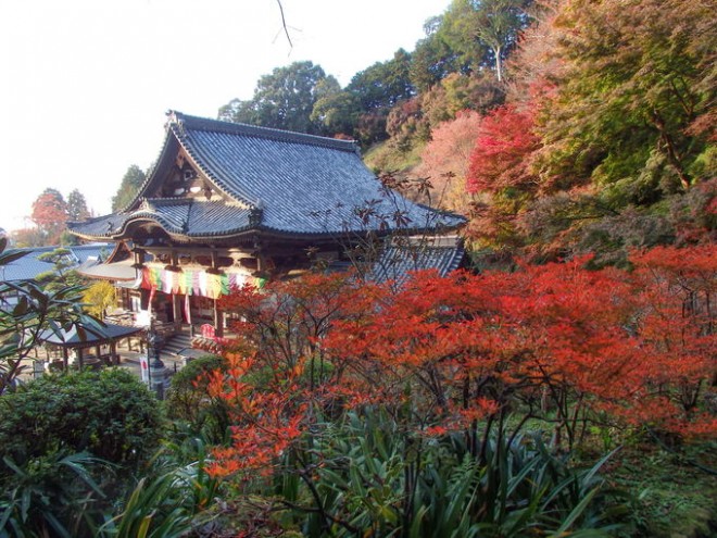 和傘とのライトアップも!奈良・岡寺「大和観音もみじ回廊」｜eltha(エルザ)