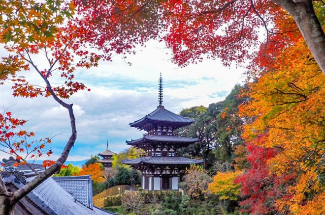 国宝の2つの三重塔を一望!奈良・當麻寺「西南院」の絶景｜eltha(エルザ)