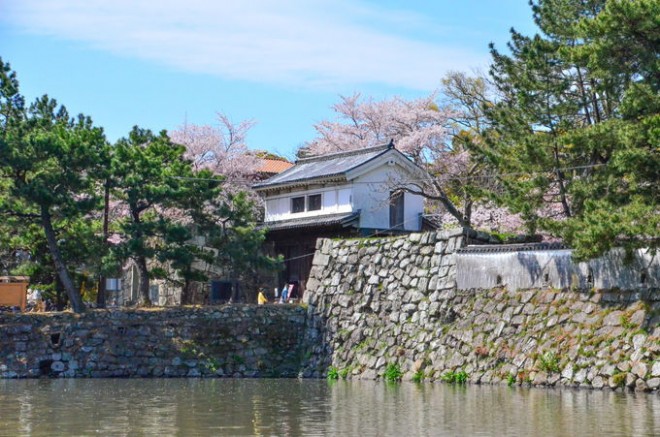 お花見遊覧船も!和歌山・春爛漫の「和歌山城公園桜まつり」｜eltha(エルザ)