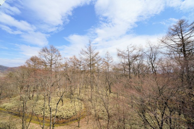 インフィニティ露天風呂から霧降高原を一望「TAOYA日光霧降」｜eltha(エルザ)