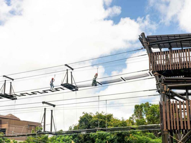 「ジャングリア沖縄」のアトラクションで冒険と興奮のパワーバカンス!｜eltha(エルザ)