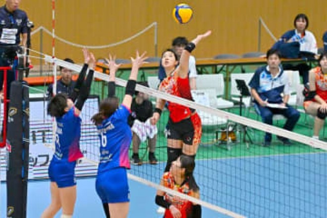 シーガルズ逆転負けで2連敗 PFUに2―3 | ORICON NEWS