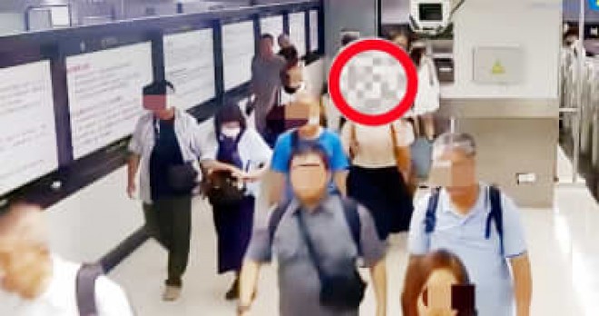 スカート内に生きた魚229匹を隠して税関を通過しようとした女を摘発―中国 | オリコンニュース（ORICON NEWS）