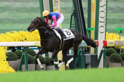 هدير عبد الرازق جنس