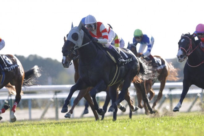 【東山S】武豊ヤブサメがオープン入り | オリコンニュース（ORICON NEWS）