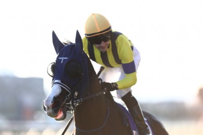 دوست دختر تقلب جوانان بزرگ