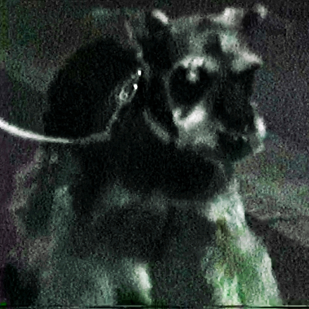 画像・写真 | King Gnuのドラマー・勢喜遊がYouTubeチャンネル開設へ 新ユニットMVを元日に公開 4枚目 | オリコンニュース ...